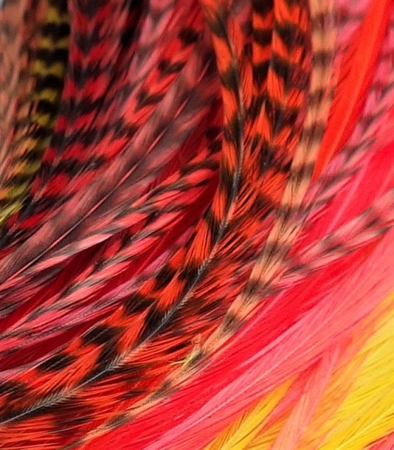 Esprit Plume, plumes naturelles pour cheveux, qualité n°1